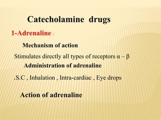 Introduction to pharmacy students and medication | PPT