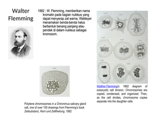 1.-sejarah-genetikayang ada di kehidupan sosial .ppt