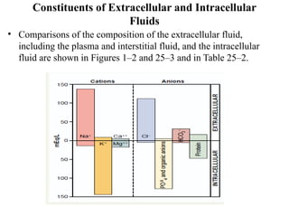 1.1 Cell Physiology of the human cell.pptx