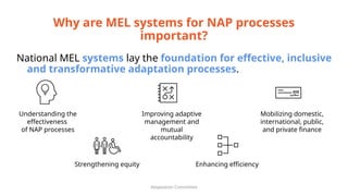 Introduction to MEL in NAP Processes Key Concepts.pptx