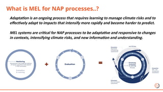 Introduction to MEL in NAP Processes Key Concepts.pptx