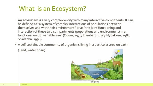 Ag Eng 312 Relationship Between The Diffrent Components Of Environment And Ecosytem Pptx