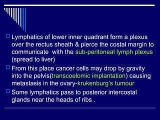1.ANATOMY OF THE BREAST AND LYMPH NODE STATIONS OF BREASTppt | PPT