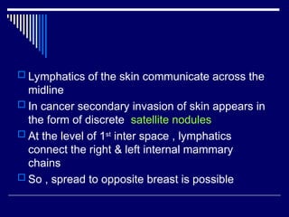1.ANATOMY OF THE BREAST AND LYMPH NODE STATIONS OF BREASTppt | PPT