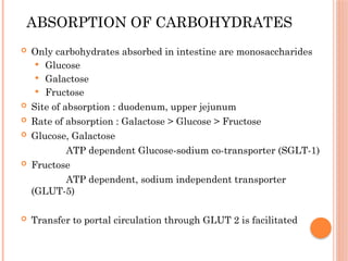 1.1 Chemistry of Carbohydrates introdcution.pptx