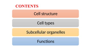 Cell & Cell organelles. pptx | PPTX | Biological Sciences | Science