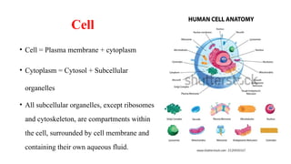 Cell & Cell organelles. pptx | PPTX | Biological Sciences | Science