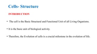 Cell & Cell organelles. pptx | PPTX | Biological Sciences | Science