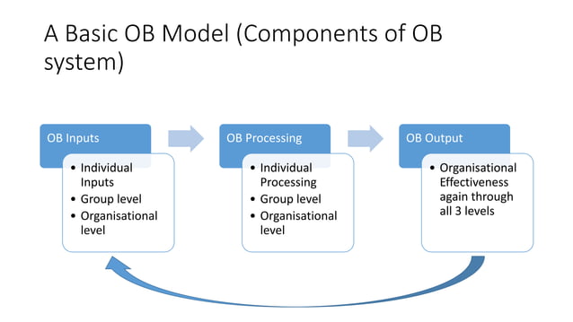 1.-Introduction of organizational behaviour-.pdf