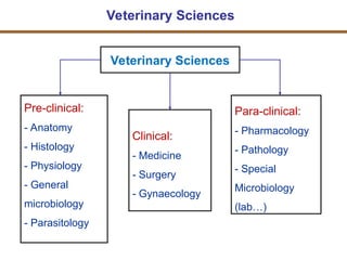 Veterinary medicine lecture on...... | PPT