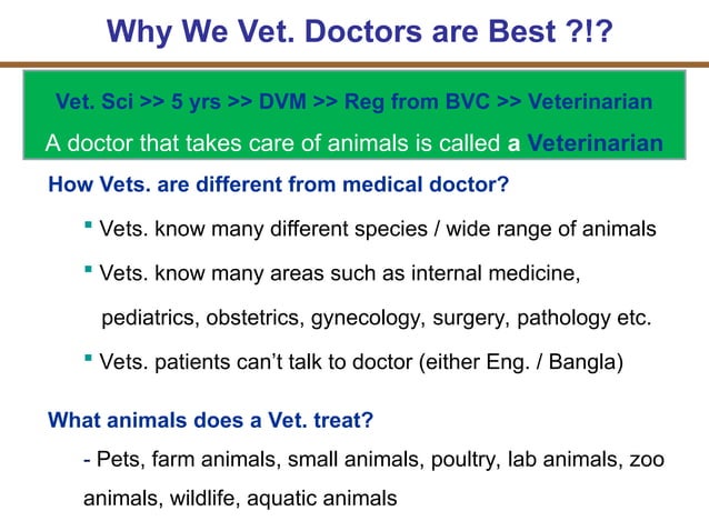 Veterinary medicine lecture on...... | PPT