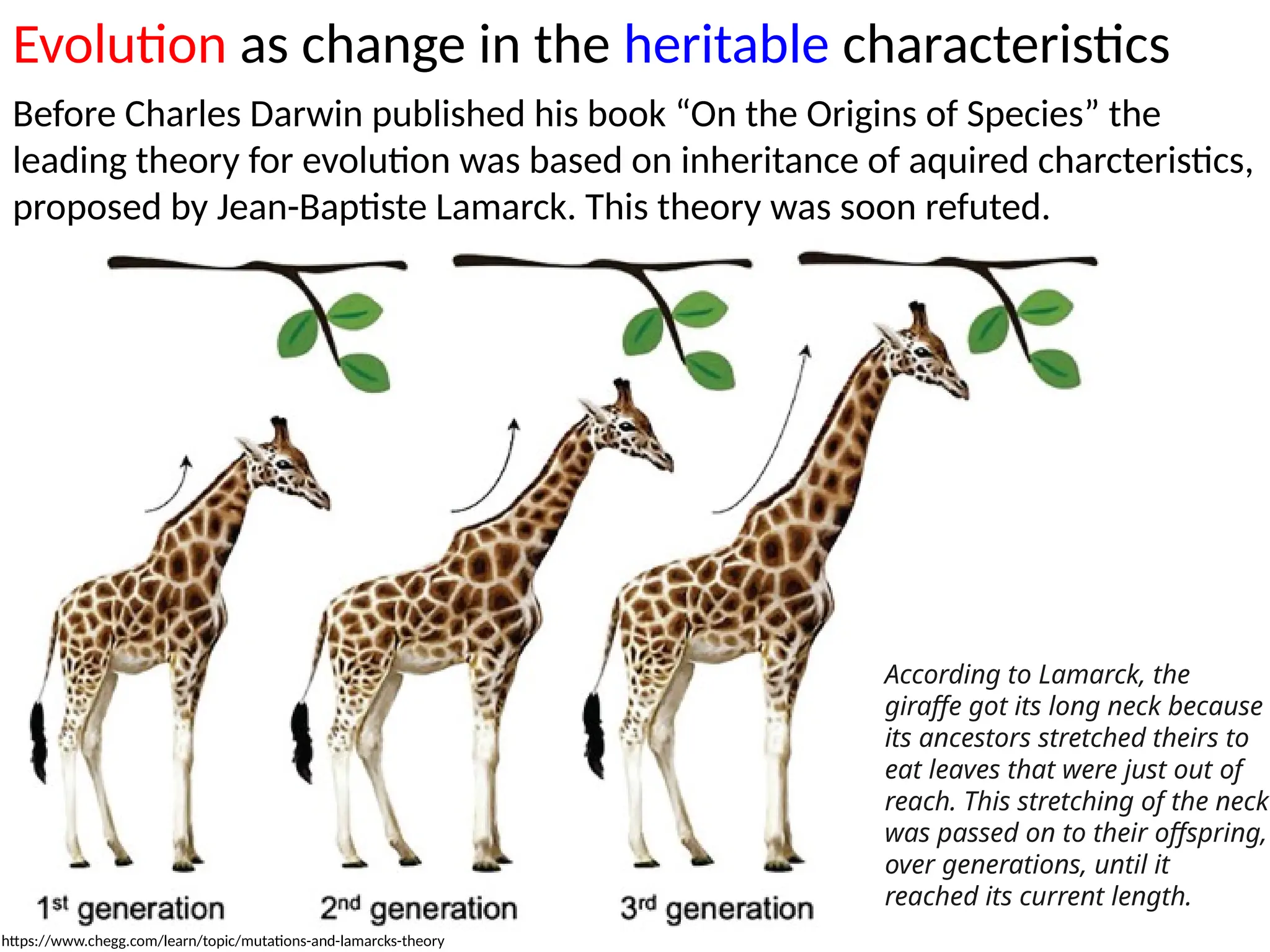 1. A 4.1 SL Evolution.pptx for IB Biology | PPTX