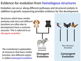 1. A 4.1 SL Evolution.pptx for IB Biology | PPTX