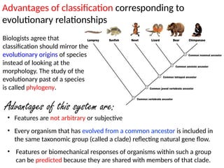 1. A 3.2 HL Classification.pptx IB Biology | PPTX | Biological Sciences ...