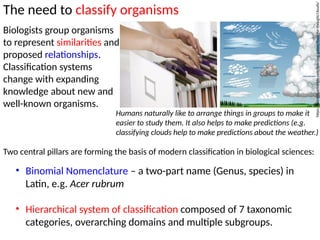 1. A 3.2 HL Classification.pptx IB Biology | PPTX | Biological Sciences ...