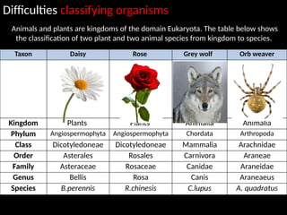 1. A 3.2 HL Classification.pptx IB Biology | PPTX | Biological Sciences ...