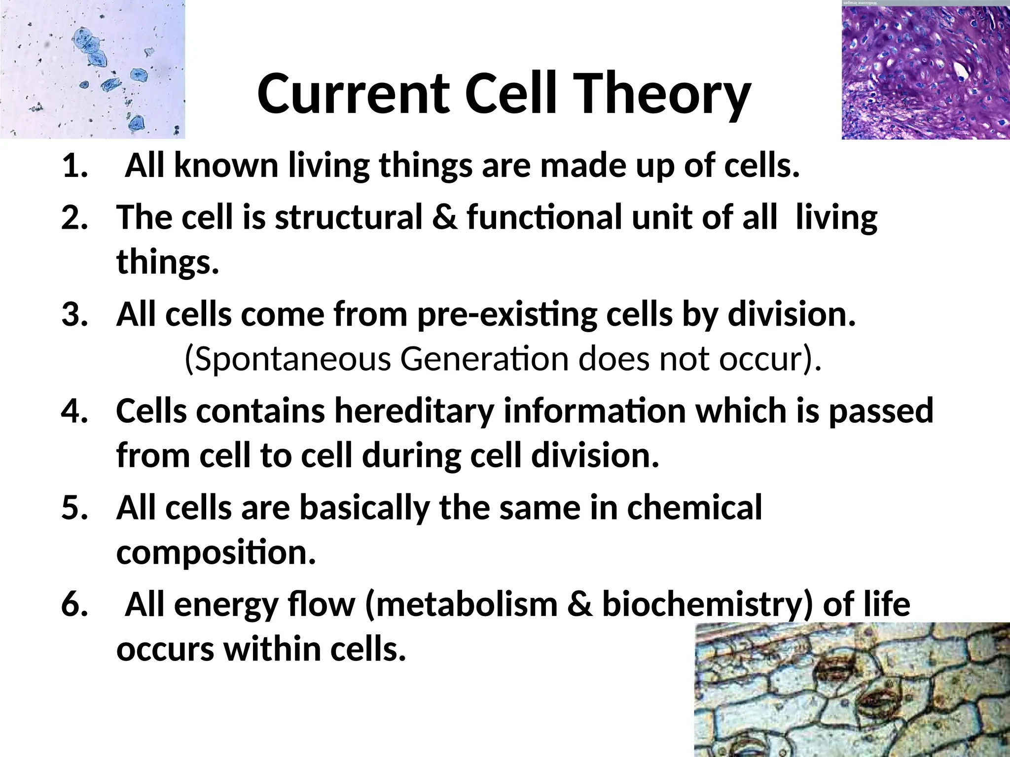 Introduction to Anatomy Lesson 1. The Cell.pptx