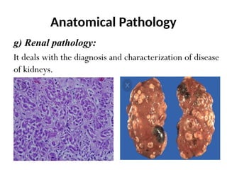 1. Introduction to Pathology & Concept of diseases.pptx
