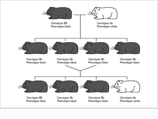 Pemrograman berorientasi objek dengan java | PPTX
