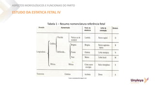 1.4 Estudo da estática fetal IV.pdfmllllllllllllllll | PPT