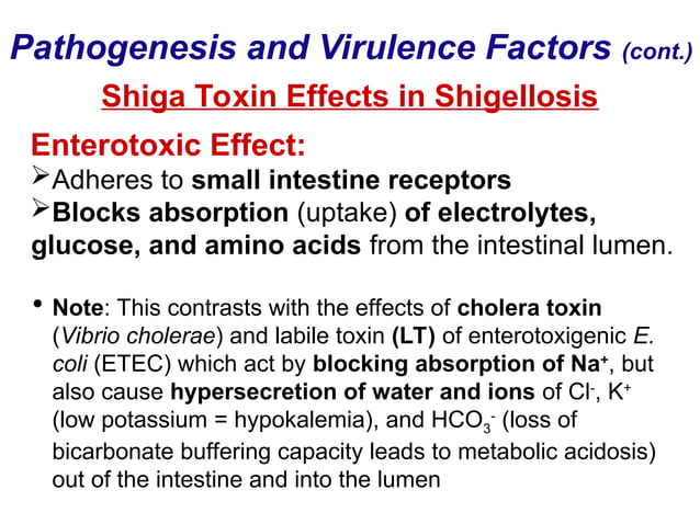 1.ppt enterobacteriaceae microbiology IUIU KC | PPT