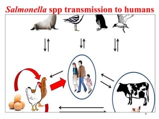 1.ppt enterobacteriaceae microbiology IUIU KC | PPT