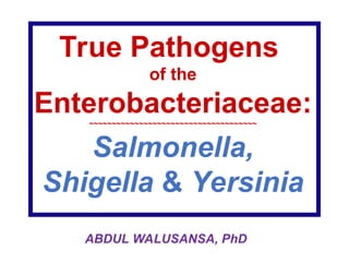 1.ppt salmonella shigella and yersinia IUIU KC | PPT
