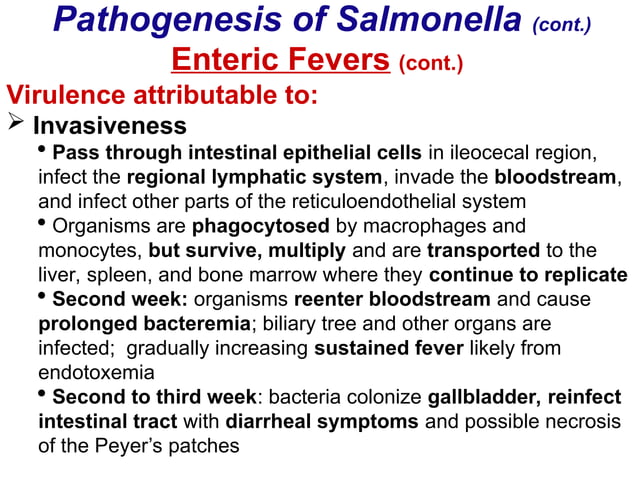 1.ppt salmonella shigella and yersinia IUIU KC | PPT