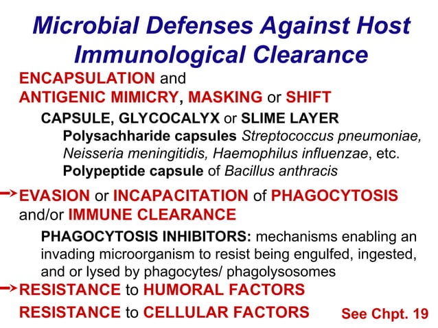 1.ppt salmonella shigella and yersinia IUIU KC | PPT