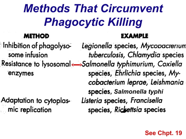 1.ppt salmonella shigella and yersinia IUIU KC | PPT