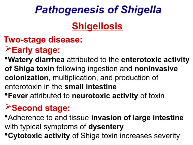 1.ppt salmonella shigella and yersinia IUIU KC | PPT