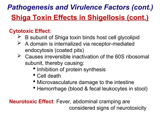 1.ppt salmonella shigella and yersinia IUIU KC | PPT