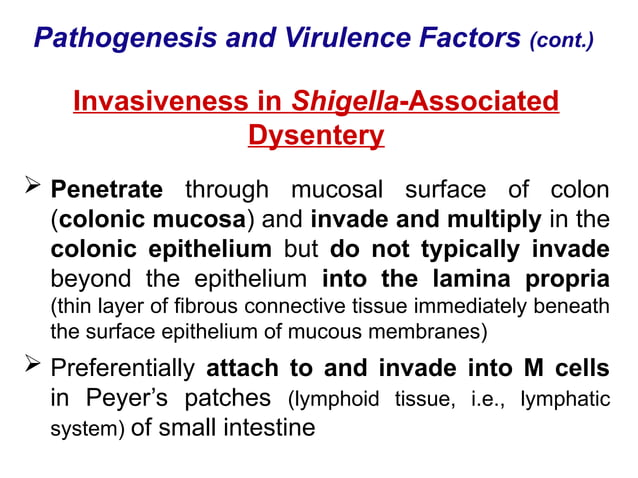 1.ppt salmonella shigella and yersinia IUIU KC | PPT