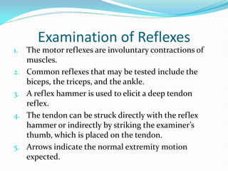 1. Assessment of Nervous system for nursing .pdf
