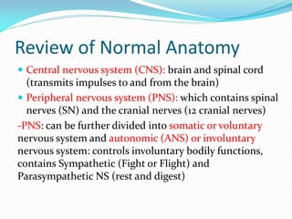 1. Assessment of Nervous system for nursing .pdf