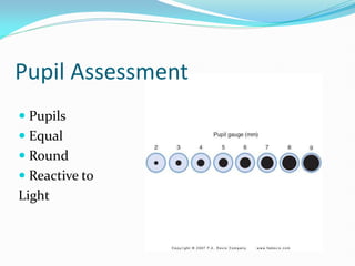 1. Assessment of Nervous system for nursing .pdf