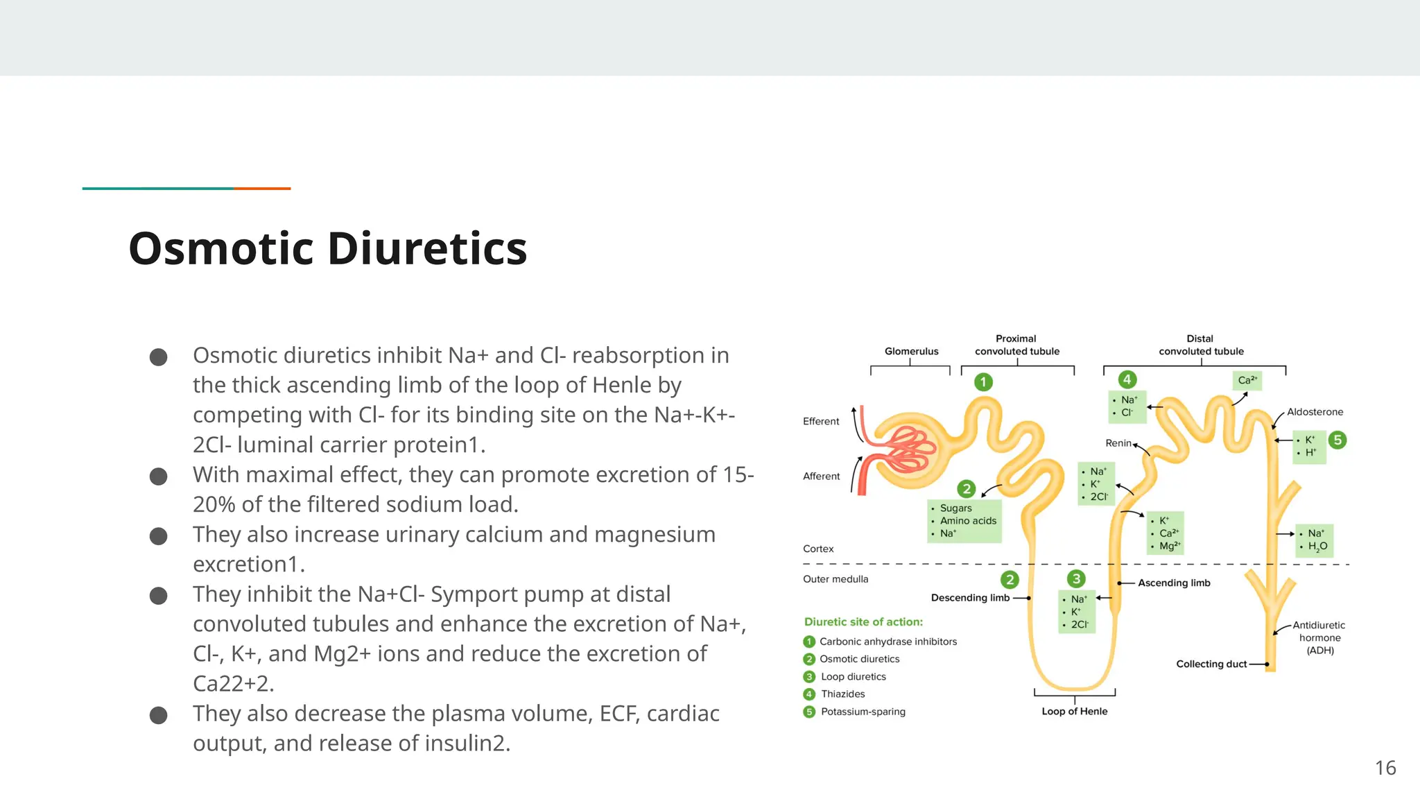 1. introduction to Diuretics for health science.pptx