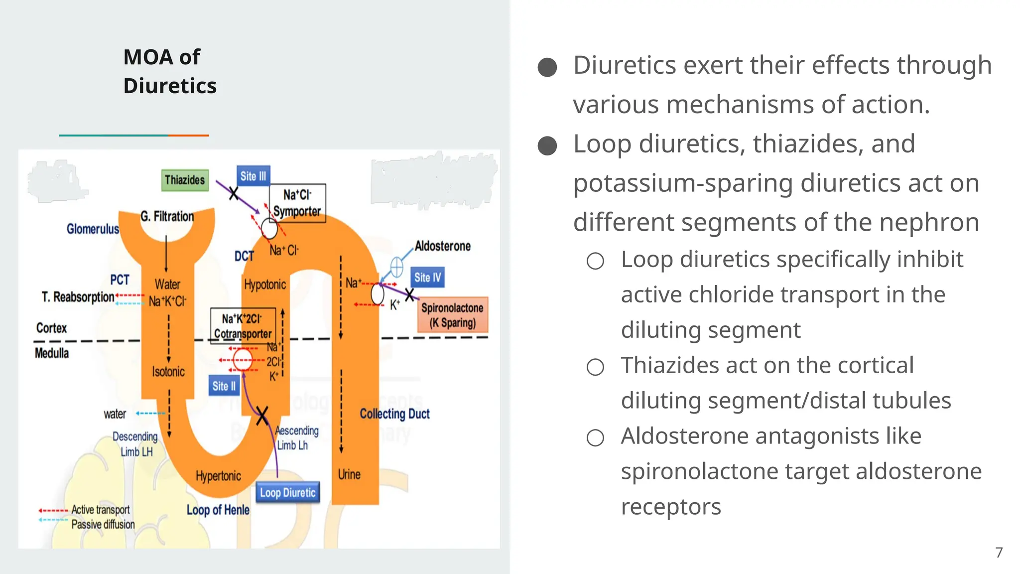 1. introduction to Diuretics for health science.pptx