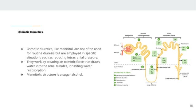 1. introduction to Diuretics for health science.pptx