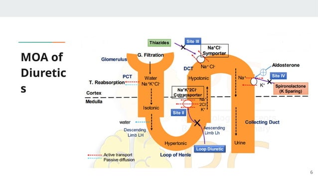 1. introduction to Diuretics for health science.pptx