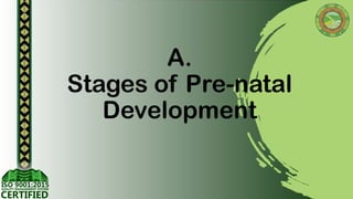 Development of Learners at Various Stages - Pre-natal.pptx