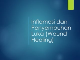 Patofisiologi Inflamasi_Inflamasi dan Penyembuhan Luka (Wound Healing ...