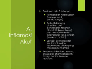 Patofisiologi Inflamasi_Inflamasi dan Penyembuhan Luka (Wound Healing ...