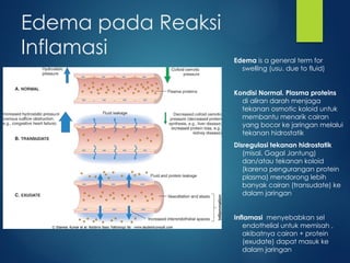 Patofisiologi Inflamasi_Inflamasi dan Penyembuhan Luka (Wound Healing ...