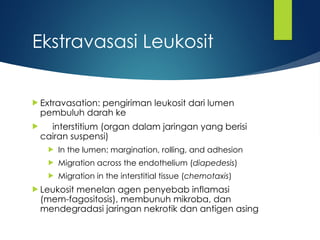 Patofisiologi Inflamasi_Inflamasi dan Penyembuhan Luka (Wound Healing ...