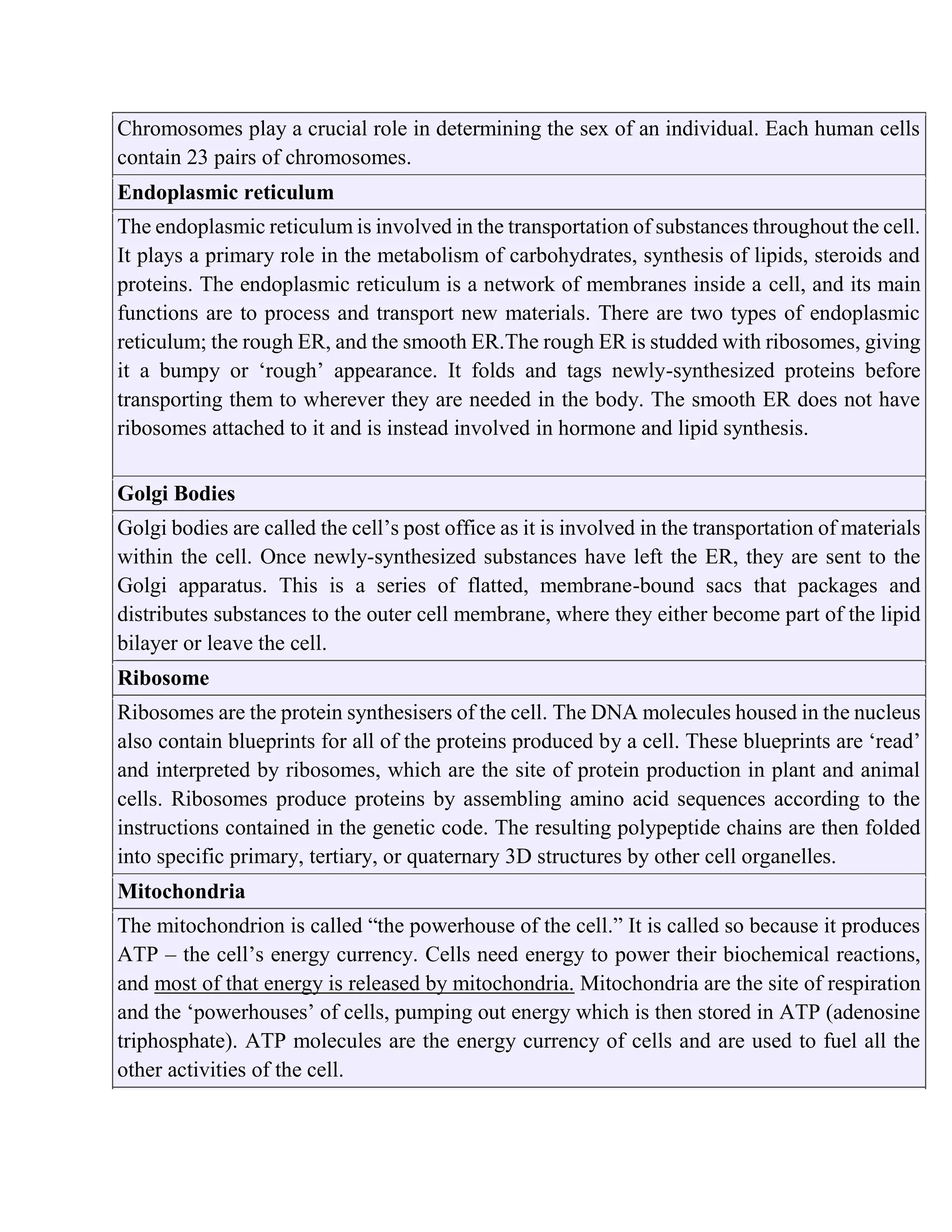 BASIC ELEMENTS OF HUMAN BODY 9 Cell – Cell Structure and organelles ...