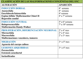 1. NEUROANATOMIA MALFORMACIONES CRANEOFACIALES.pptx | Brain and Nervous ...