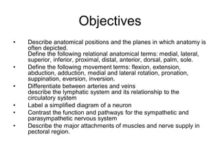 1. Introduction to Anatomical Concepts and The Pectoral Region.pdf