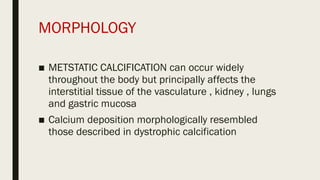 1.6. calcification-ppt. in cell injury. its a process of calcium builds ...