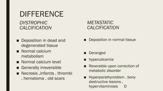 1.6. calcification-ppt. in cell injury. its a process of calcium builds ...